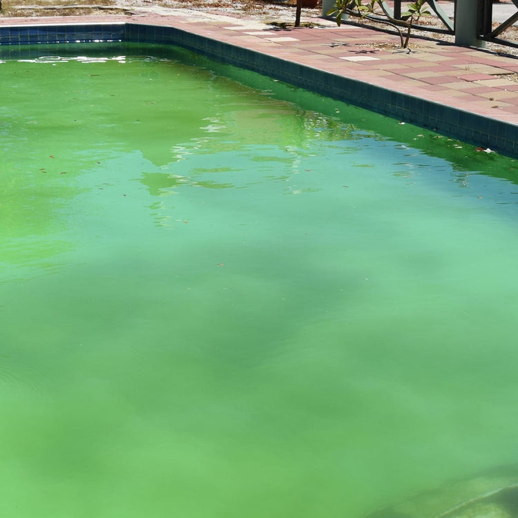 How to Get Rid of Green Pool Water – HTH-Ca