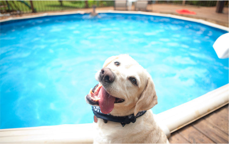 Tips for Opening Your Pool – HTH-Ca