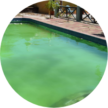 Learn Pools – HTH-Ca